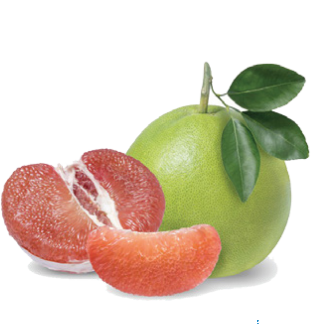 IQF Fruit – Thabico North America