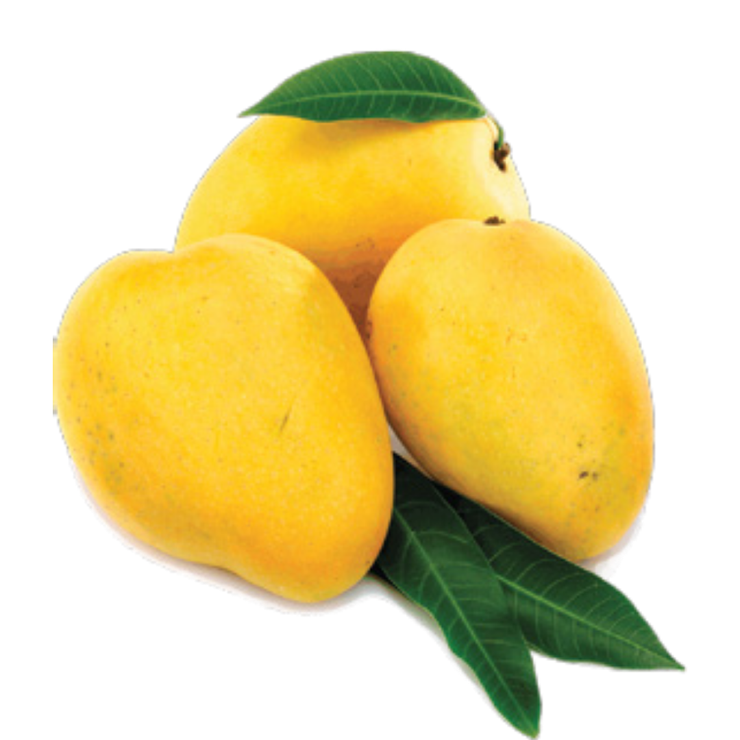 Juice Puree – Thabico North America