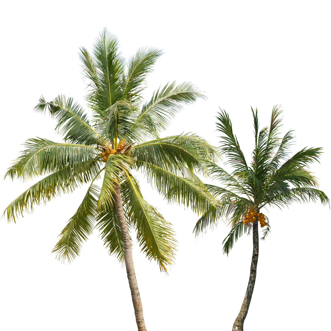 Thabico North America – Enhancing Everyday Value